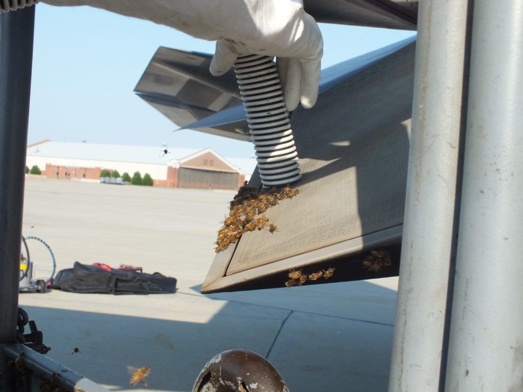 F-22 grounded by honey bees – Alert 5